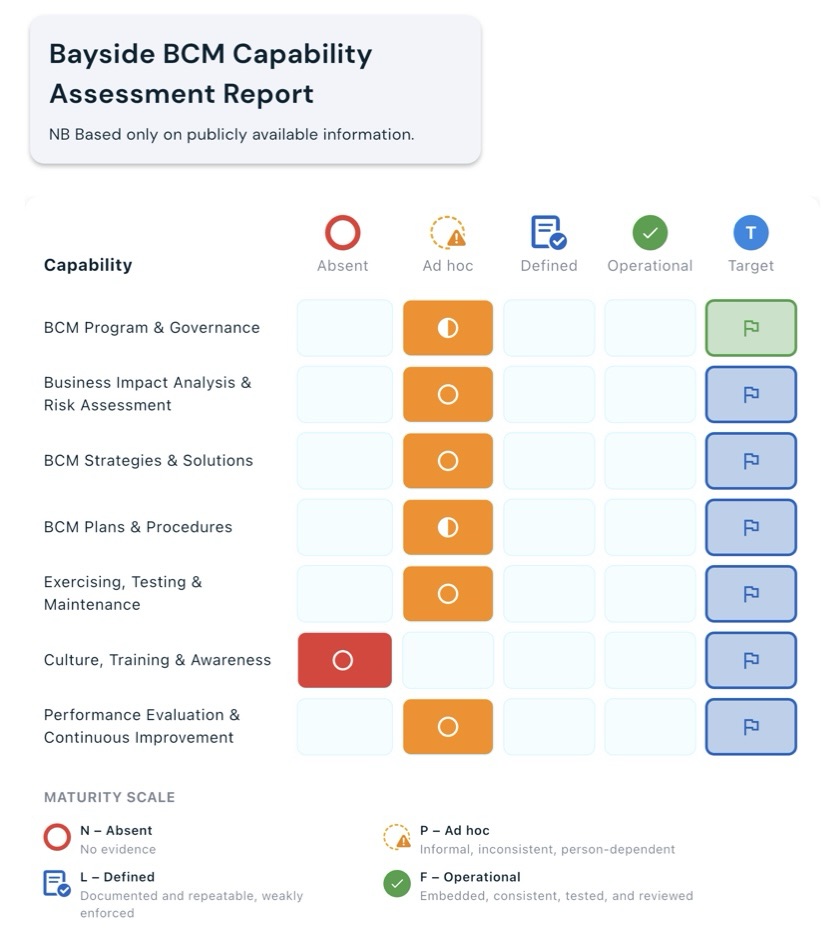Management Capability Assessment Report – John Salter Consulting Services